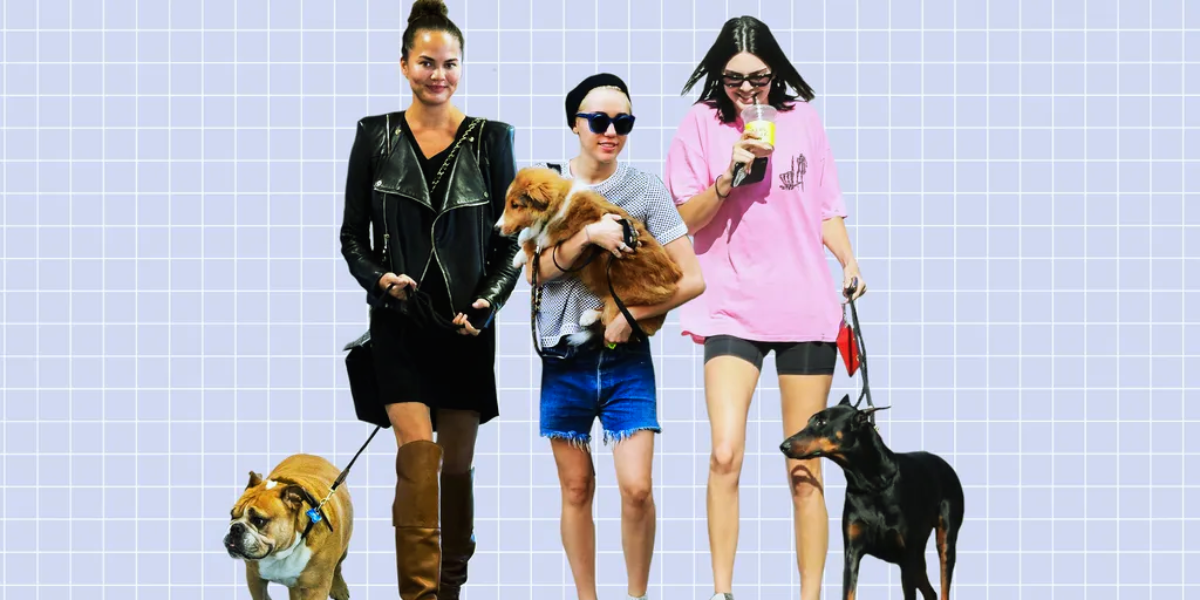43 Celebrities Have Unexpectedly Gone to the Dogs – Meet Their Furry ...