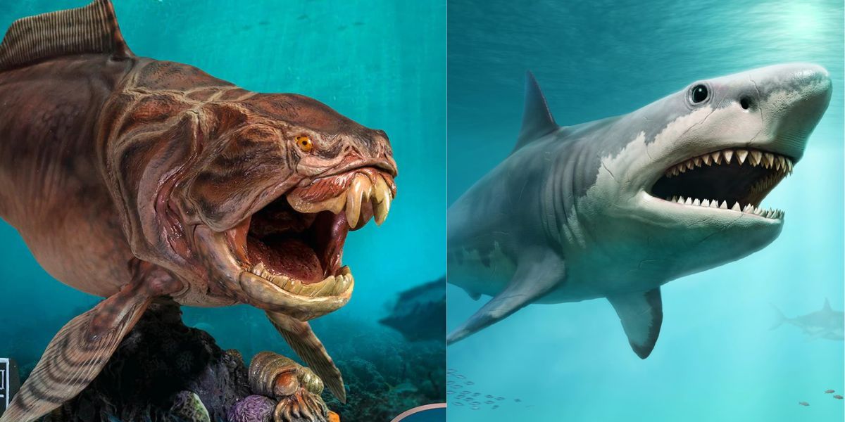 27 Mysterious Sea Creatures Lost Forever – Have You Heard of Them?
